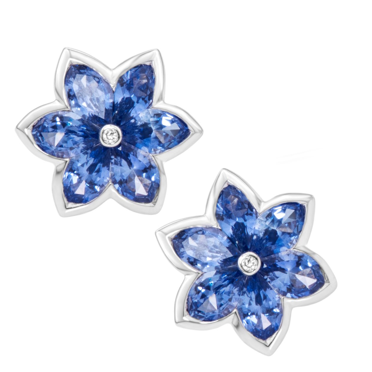 Blue sapphire star stud earrings | Gray & Sons Jewelers