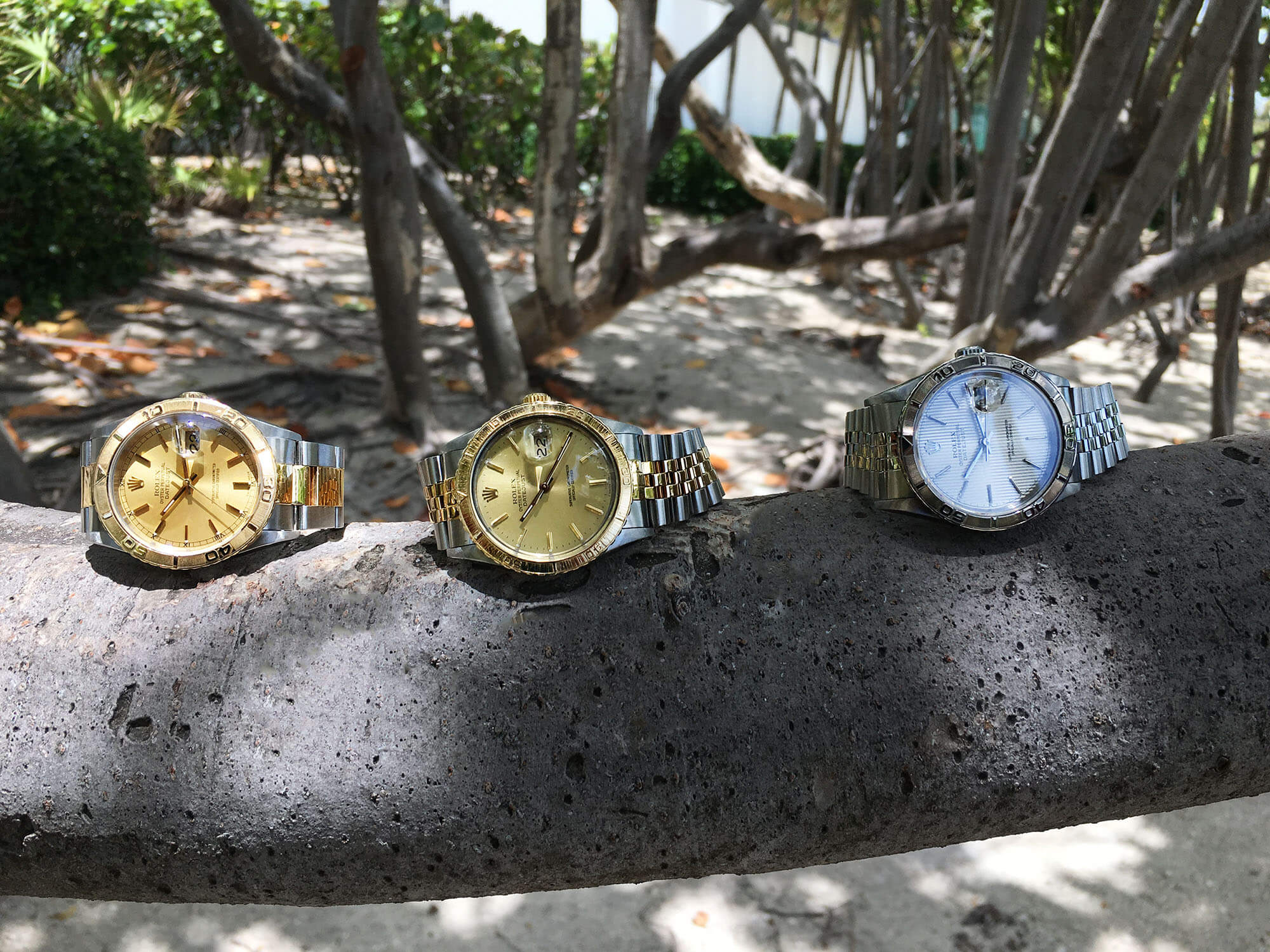 The Rolex Thunderbird Watch | Gray & Sons Jewelers